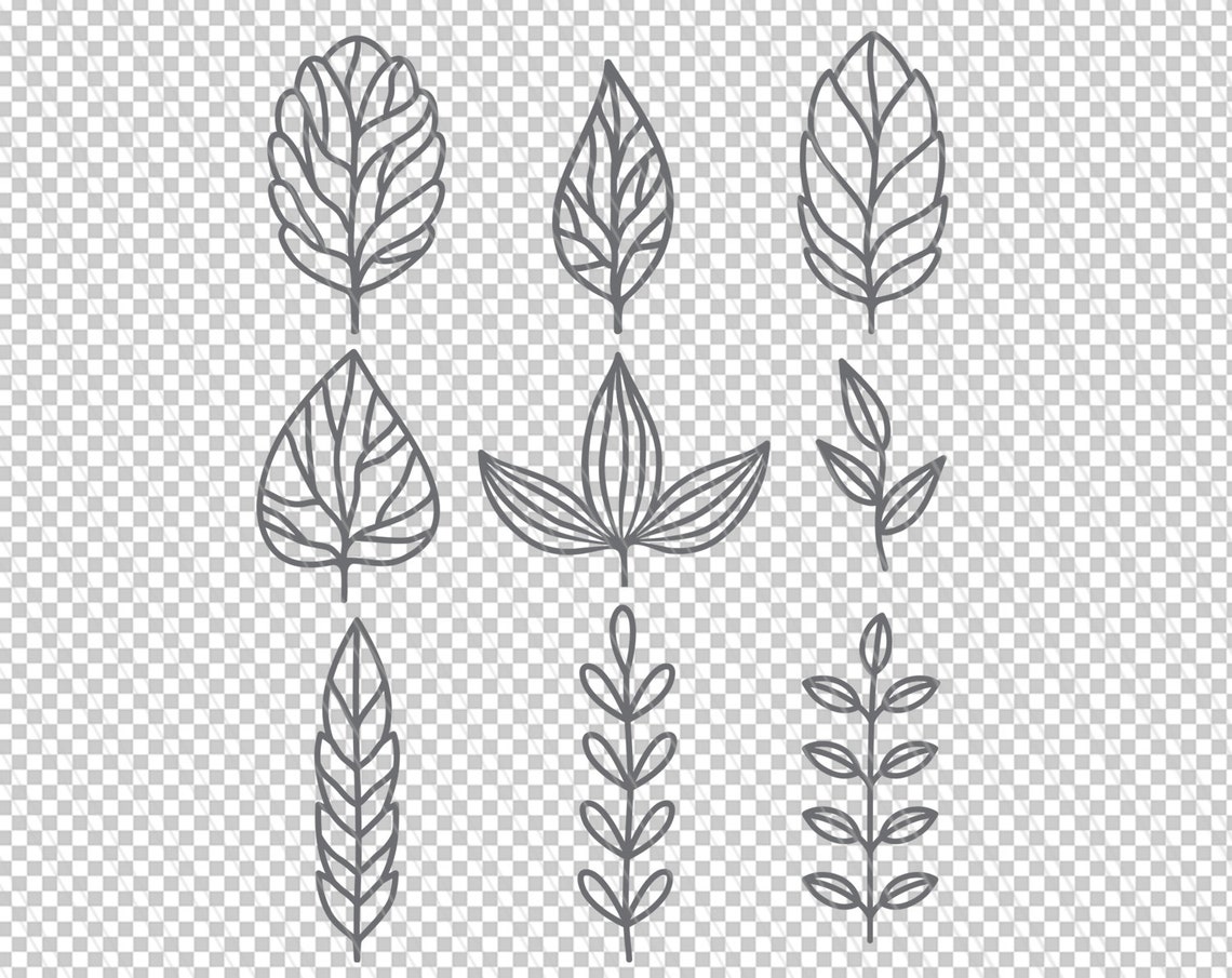 Feuilles svg, Feuille svg, Feuilles modèle de conception, Plantes svg ...