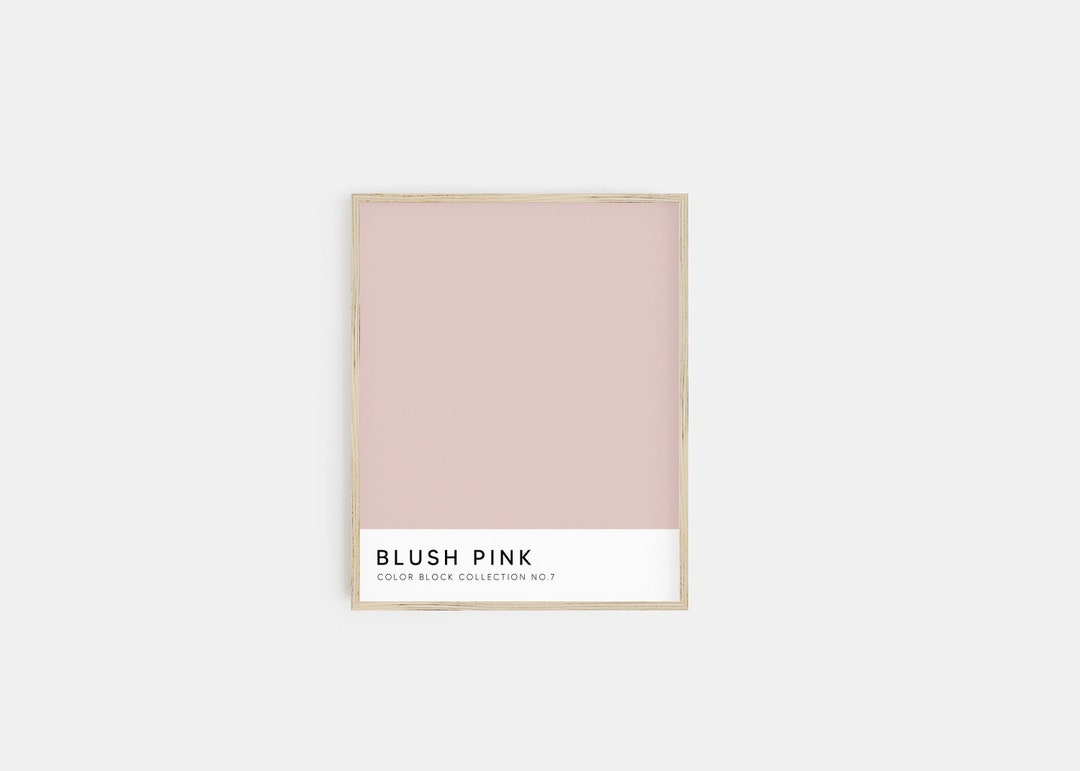Color Block Art | Pink Wall Art | Blush Pink Wall Art | Wall Decor - Etsy