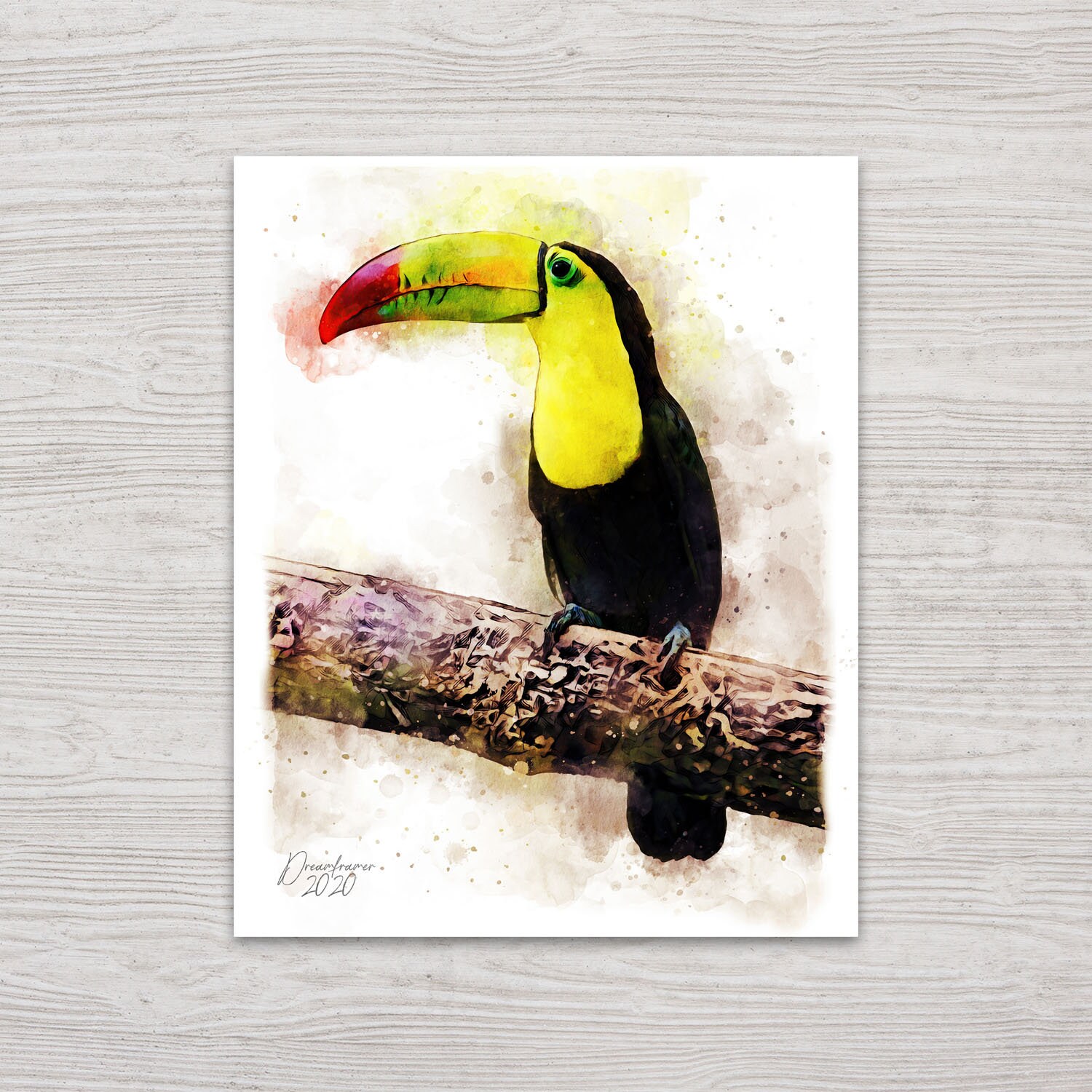 Keel Billed Toucan Drawing
