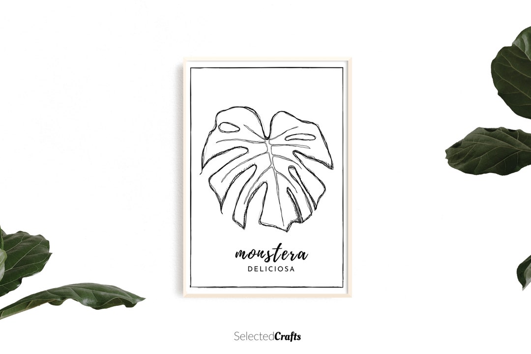 Monstera Deliciosa Line Art Print for Instant Digital Download - Etsy