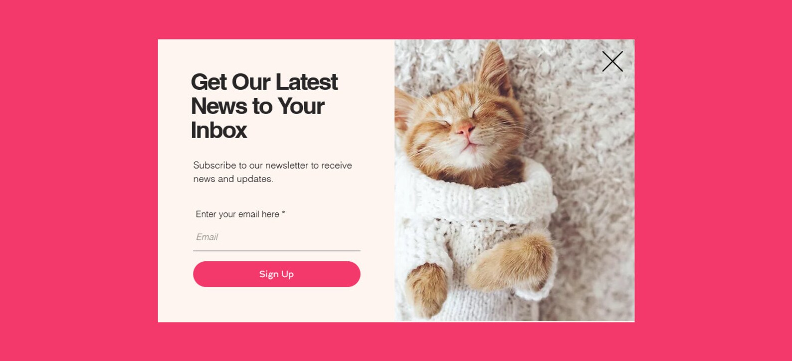 WIX Website Template - Cat Boarding, Cat Website Template Wix, Cat ...