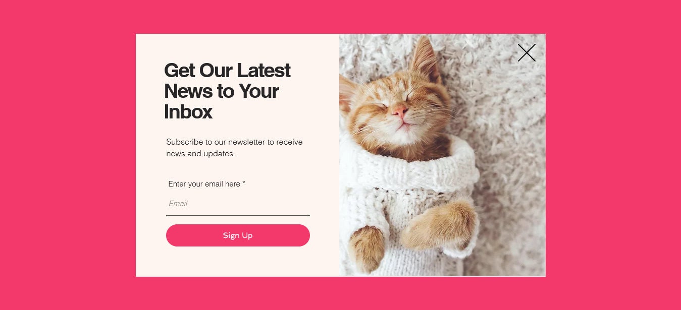 WIX Website Template - Cat Boarding, Cat Website Template Wix, Cat ...