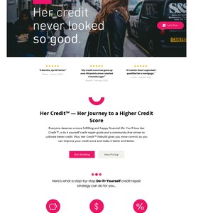 Credit Repair Business Start up Bundle! Credit Repair Website Template ...