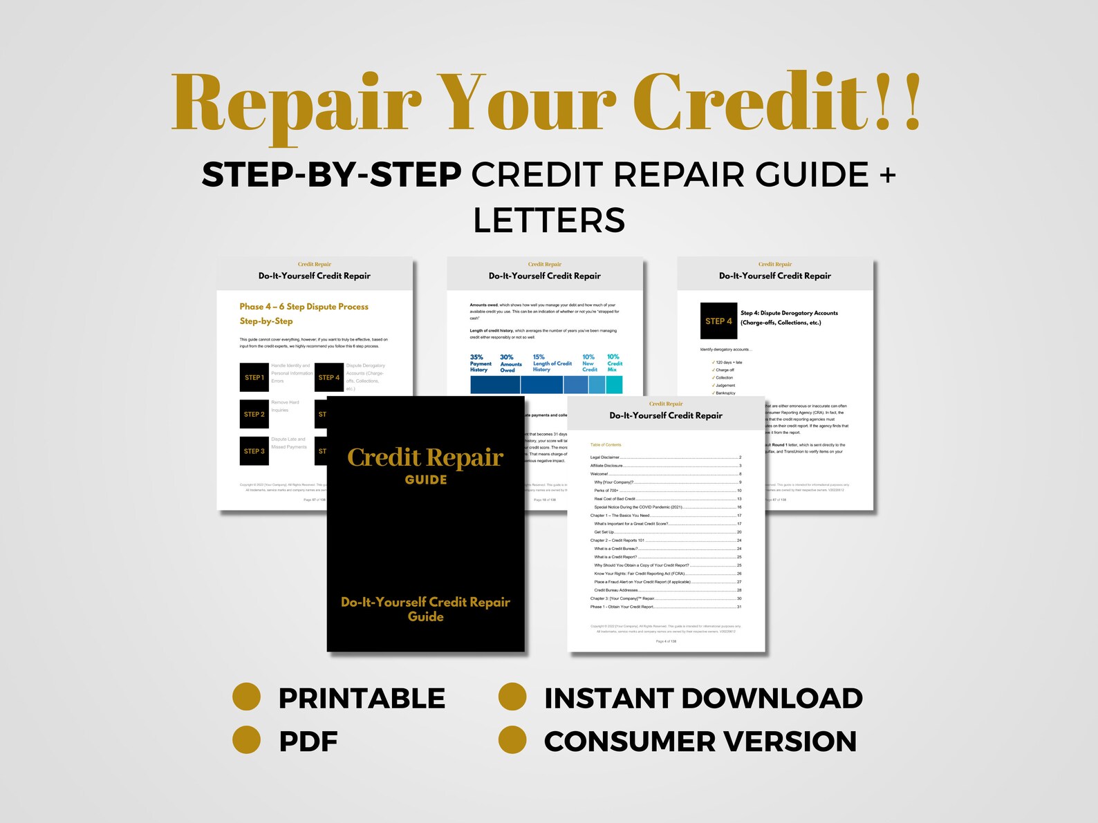 Credit Repair Guide A Complete Step-by-step Guide to Repair - Etsy