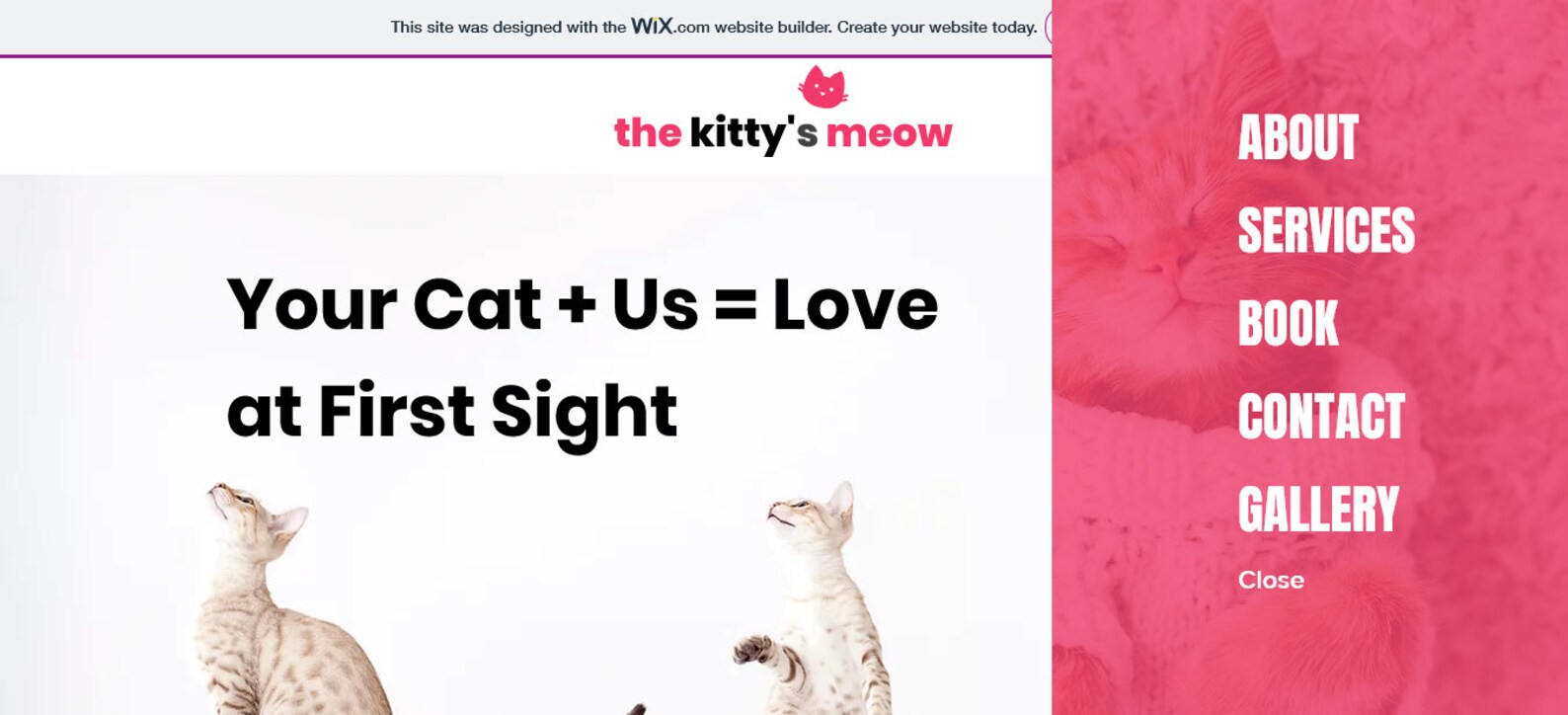 WIX Website Template - Cat Boarding, Cat Website Template Wix, Cat ...
