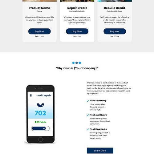 Credit Repair Business Website Template Credit Website - Etsy
