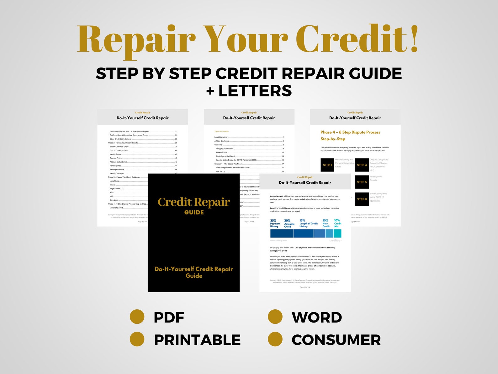 Credit Repair Guide A Complete Step-by-step Guide to Repair - Etsy