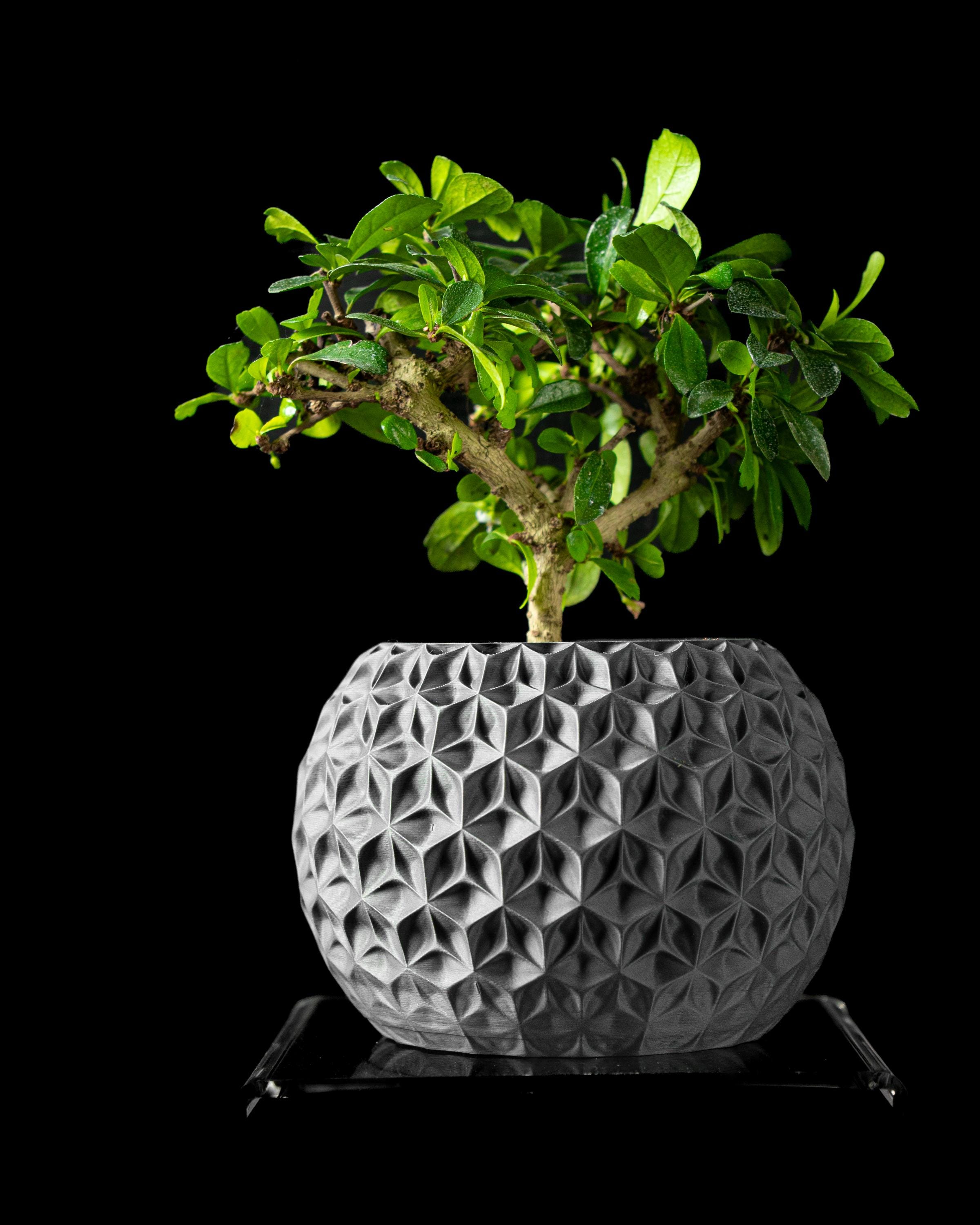 Geobloom Planter - Etsy