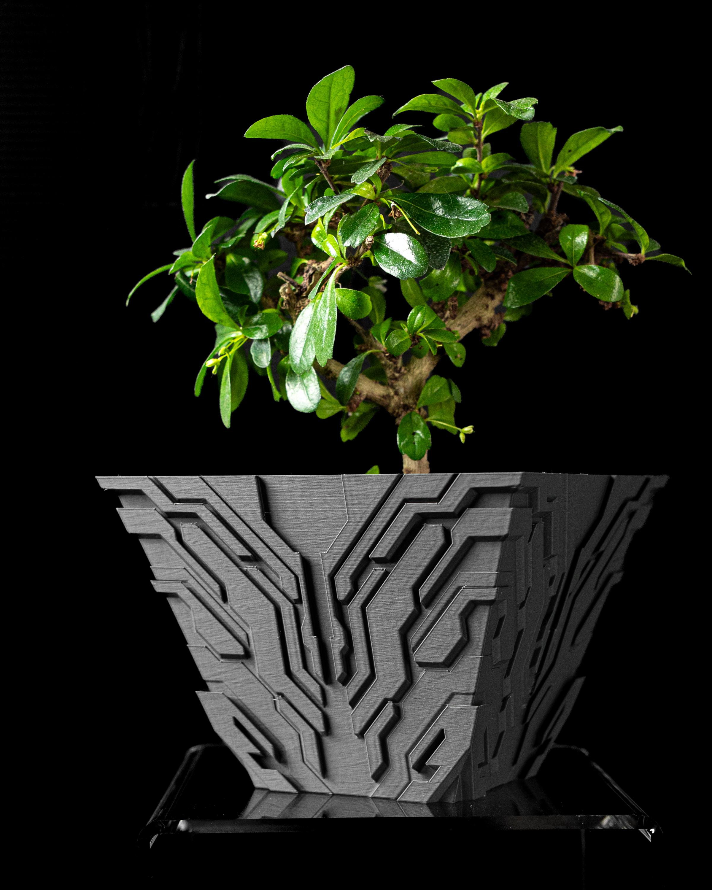 Cyber Bloom Planter – Futuristic 3D Printed Geometric Pot - Etsy