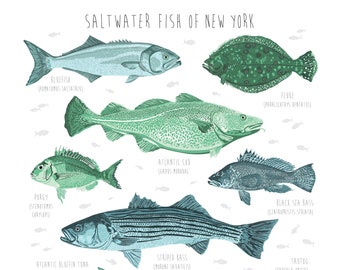 Fish of New York - Etsy