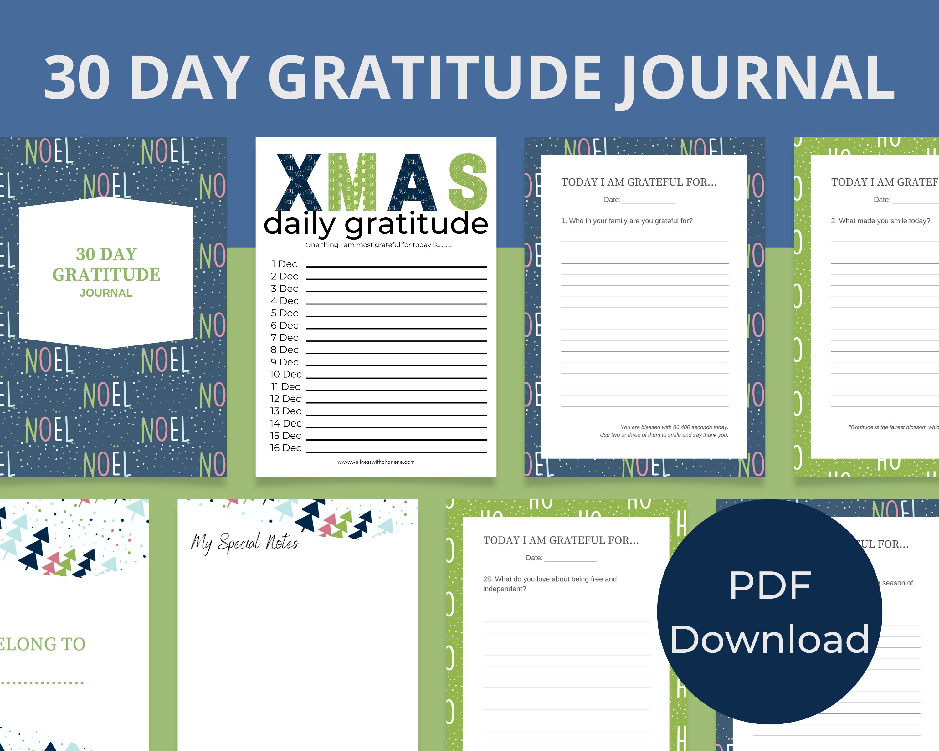 Gratitude Journal Printable Daily Printable Gratitude Sheet - Etsy