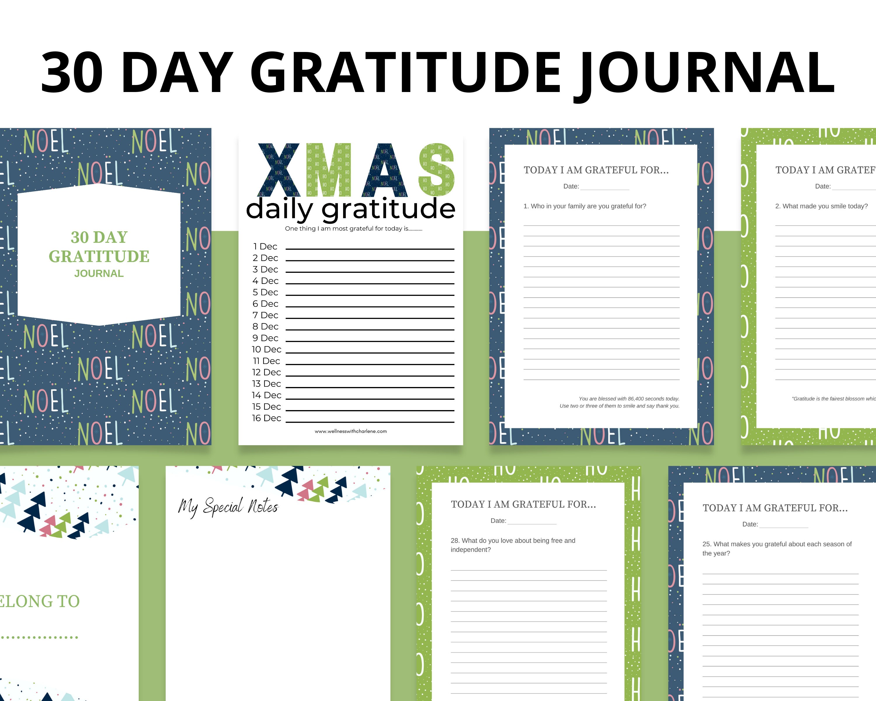 Gratitude Journal Printable, Daily Printable Gratitude Sheet, Print at ...