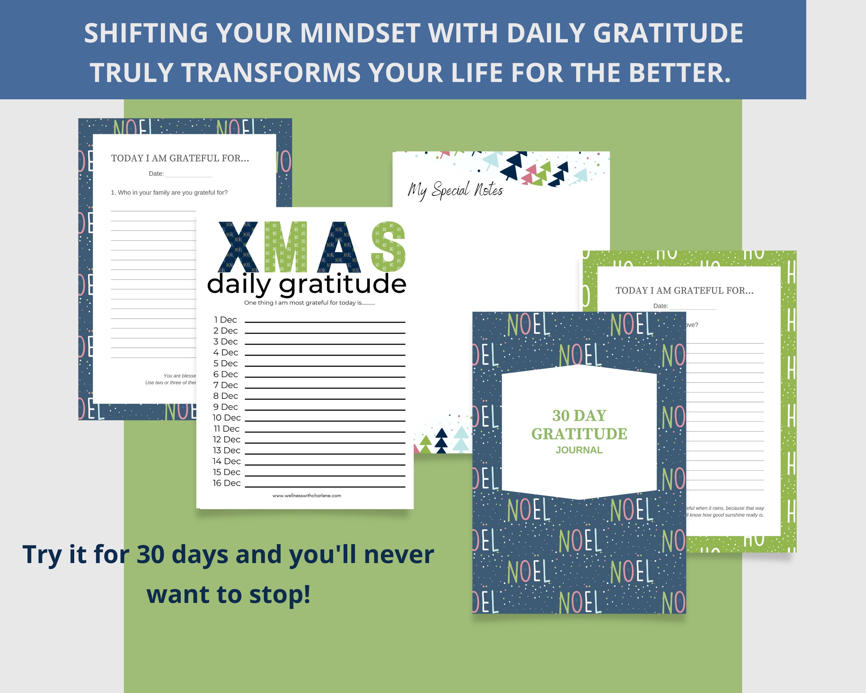 Gratitude Journal Printable, Daily Printable Gratitude Sheet, Print at ...