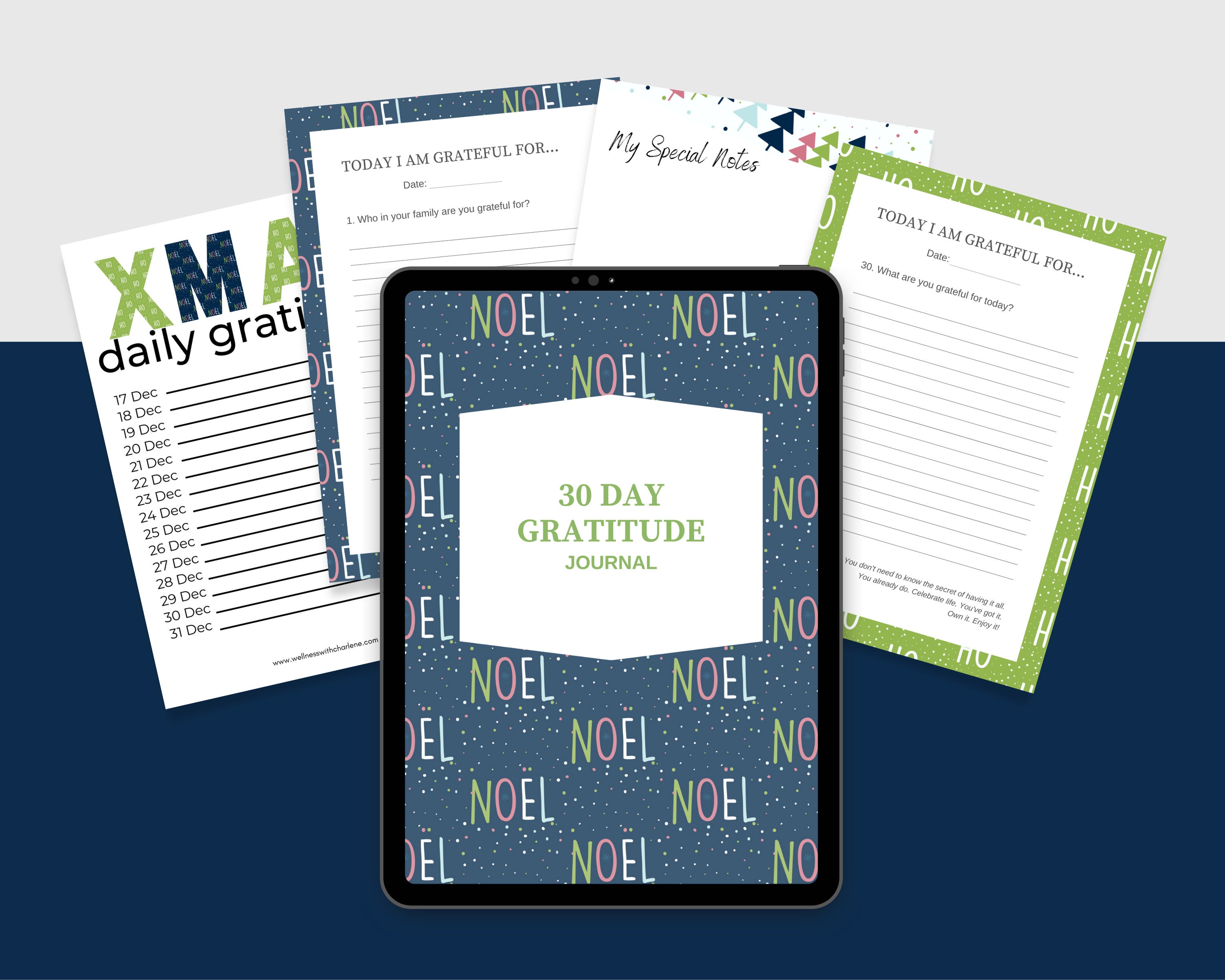 Gratitude Journal Printable, Daily Printable Gratitude Sheet, Print at ...