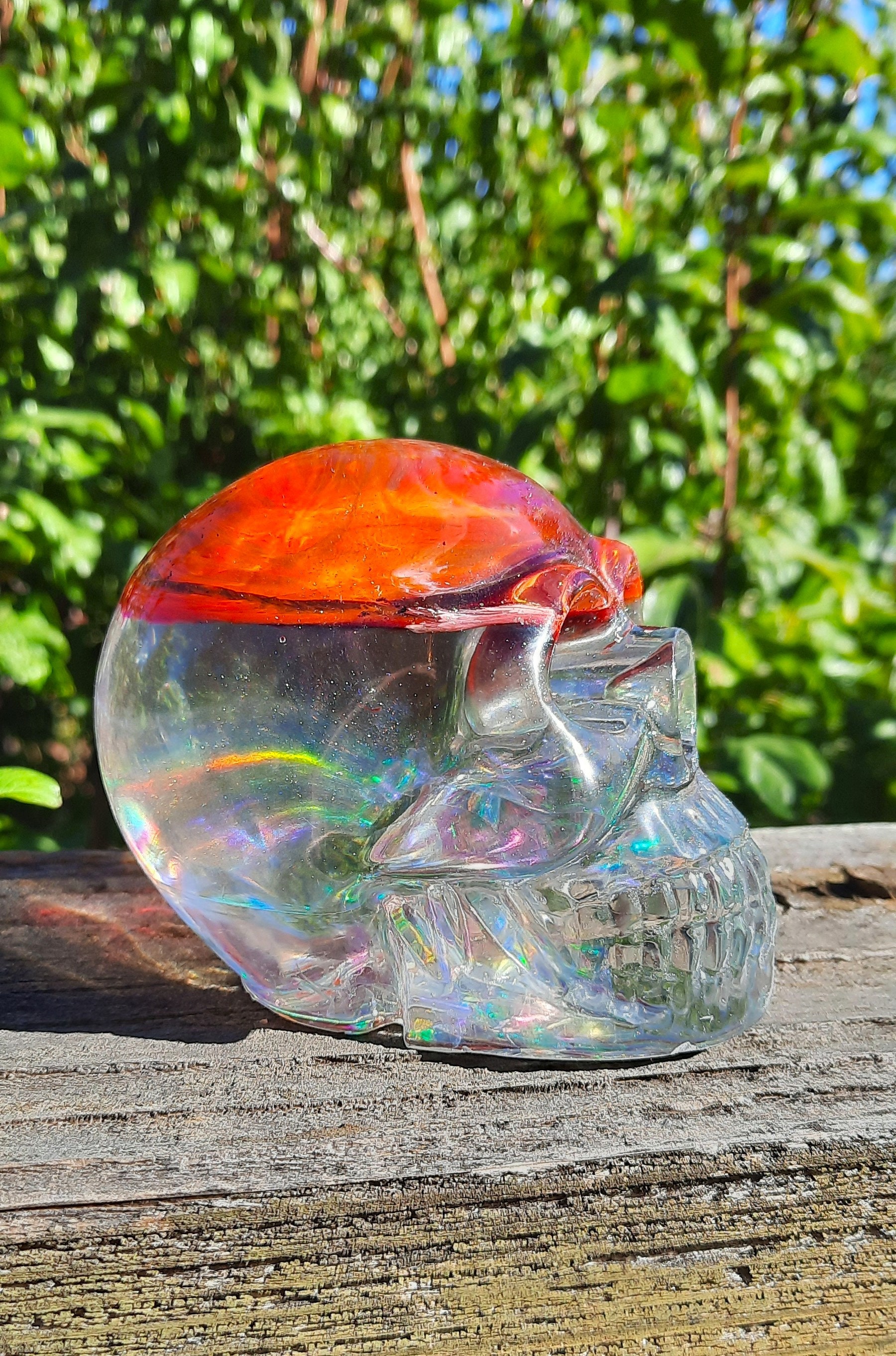 Crystal Resin Skull-holographic With Brains! Super Cool Gothic Skull - Etsy