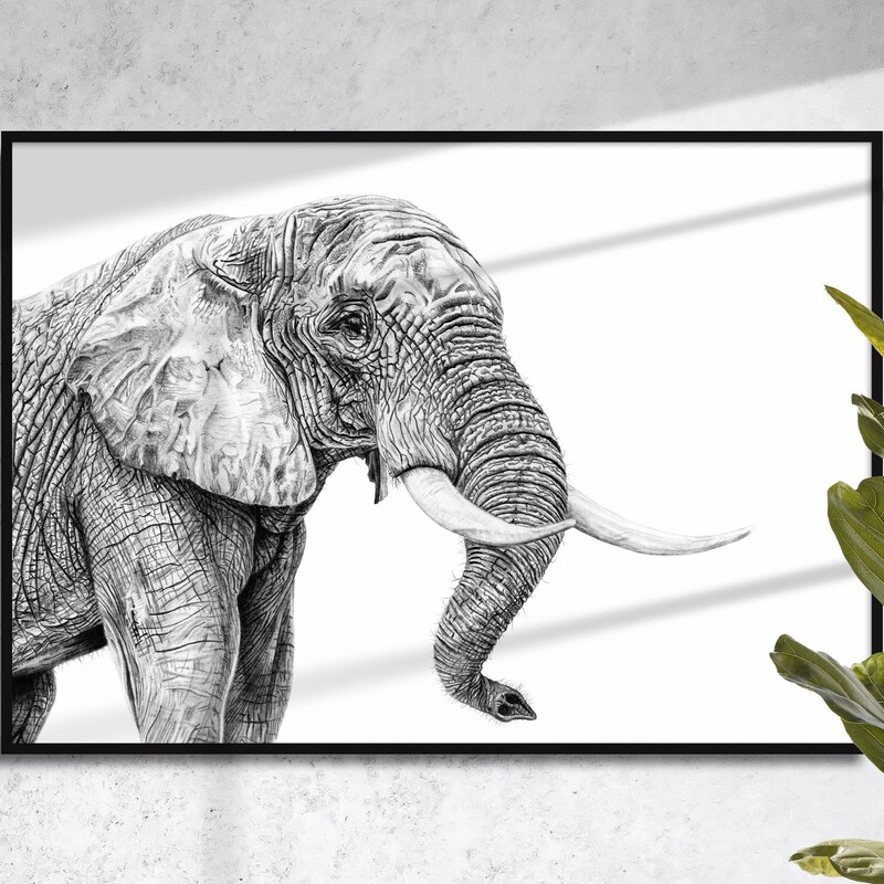 Graphite Drawing - Etsy