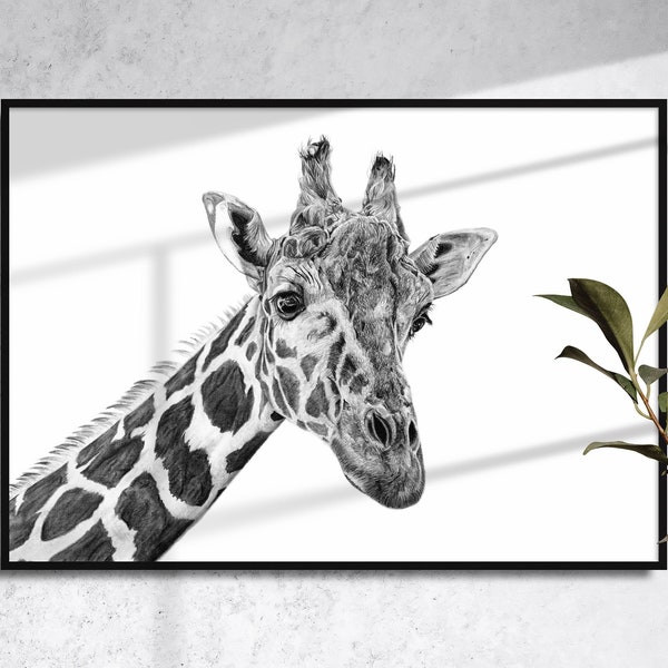 Giraffe Drawing - Etsy UK