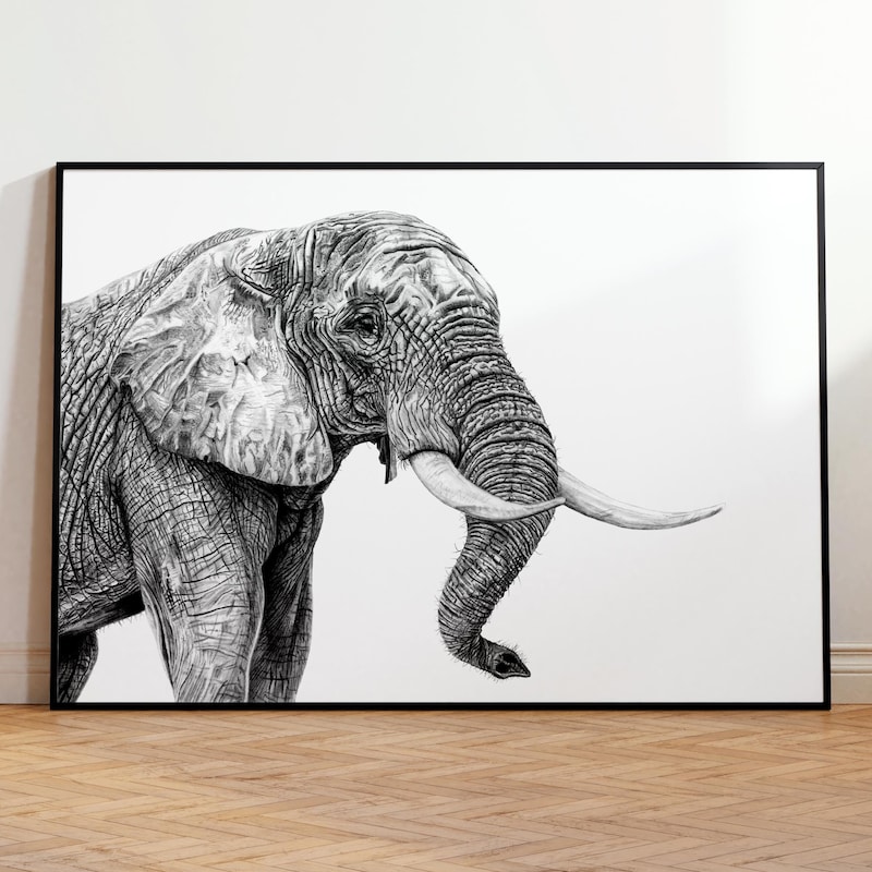 Graphite Animal Prints - Etsy UK