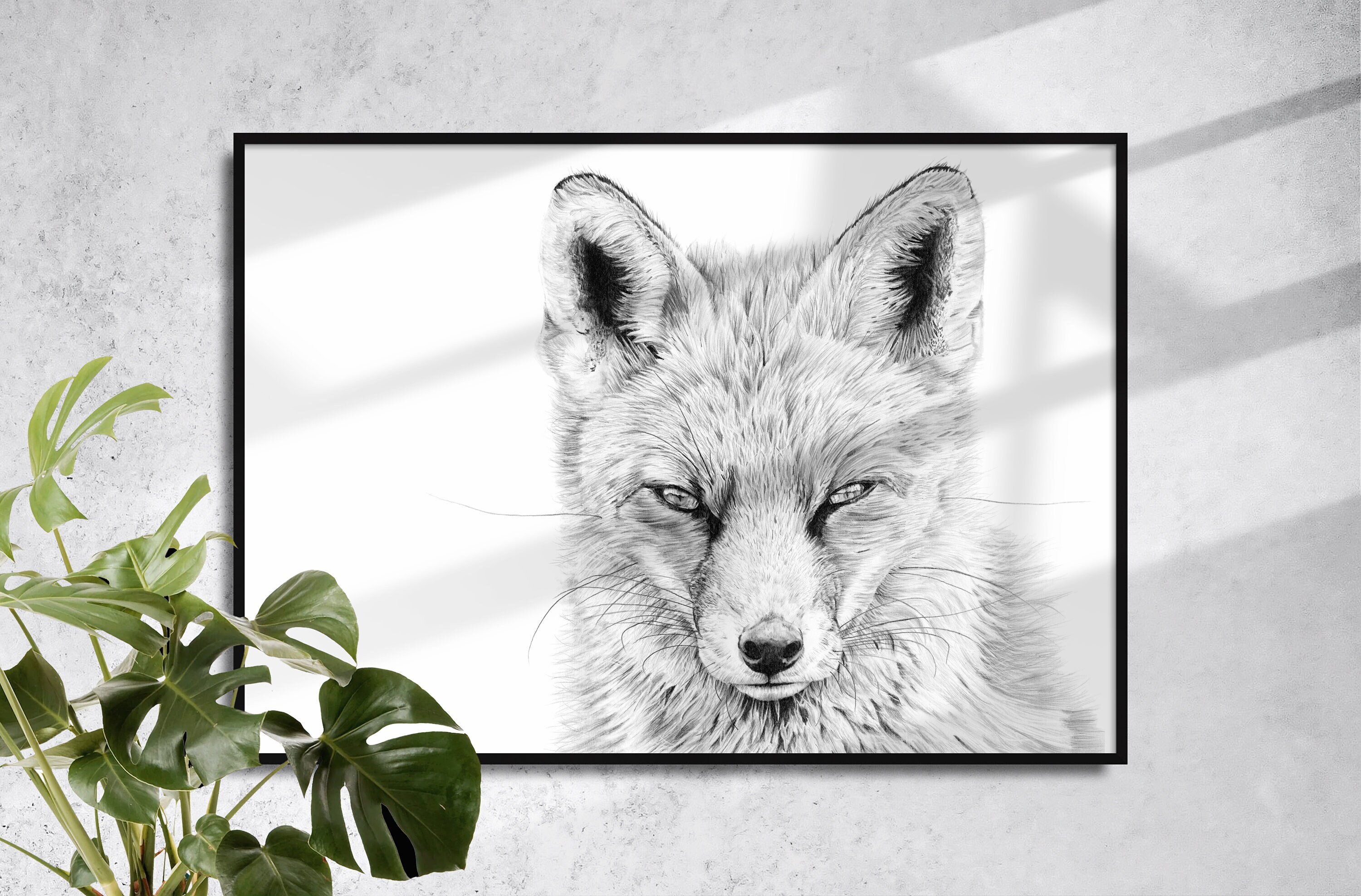 Fox Art Print / Dibujo de grafito / Dibujo de Fox / Impresión - Etsy España