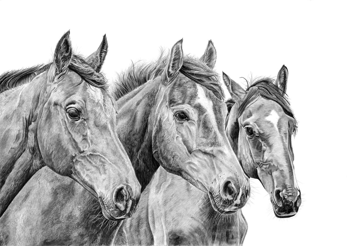 Horses Art Print Graphite Drawing Horse Drawing Giclée - Etsy