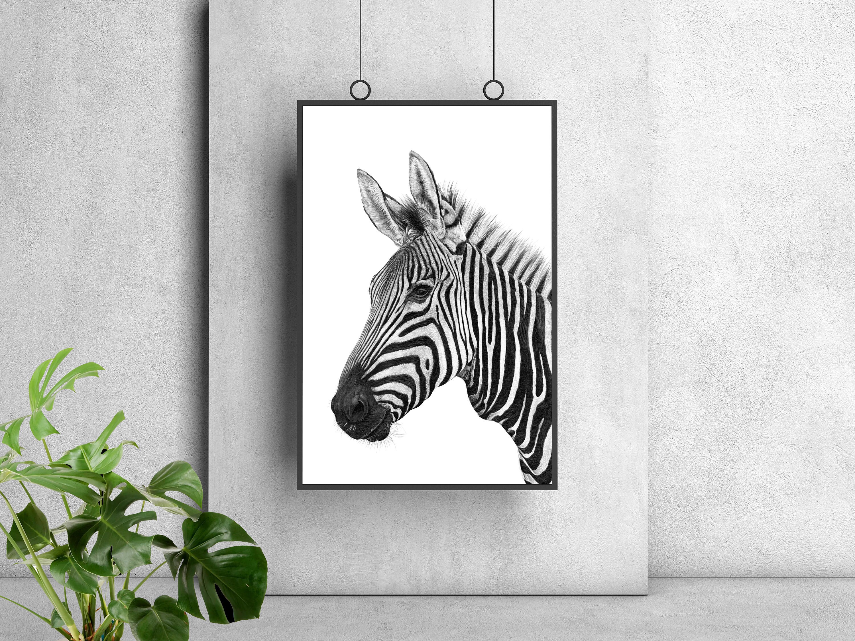 Zebra Print Drawings