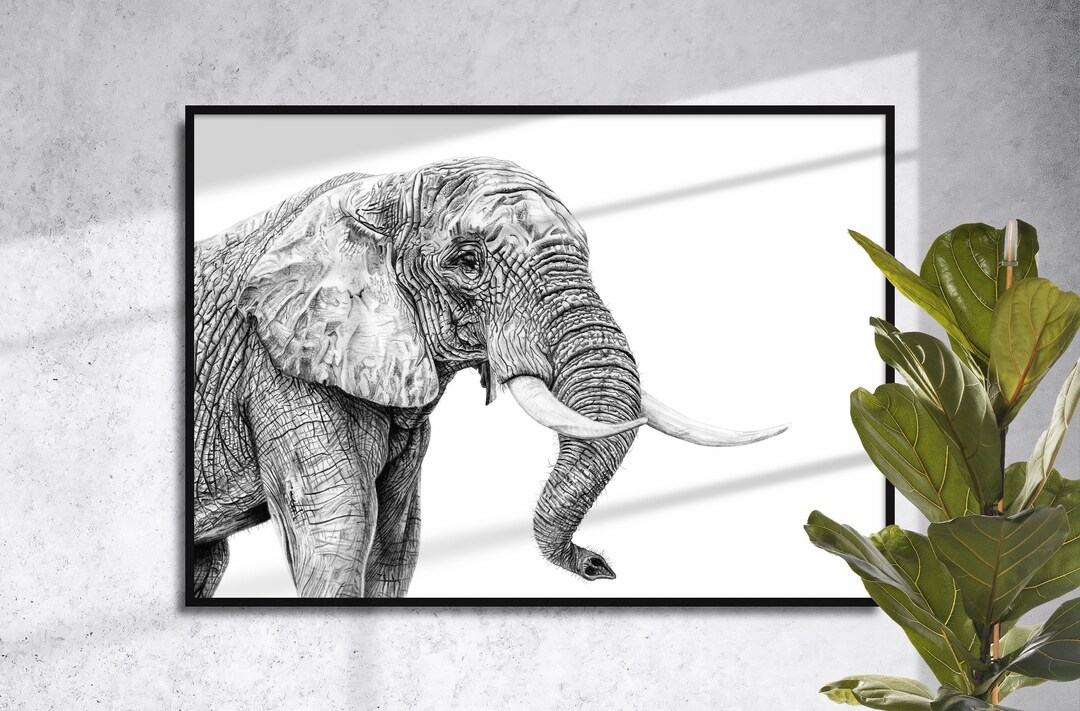 Elephant Print Graphite Drawing Giclée Print Black & White Animal Wall ...