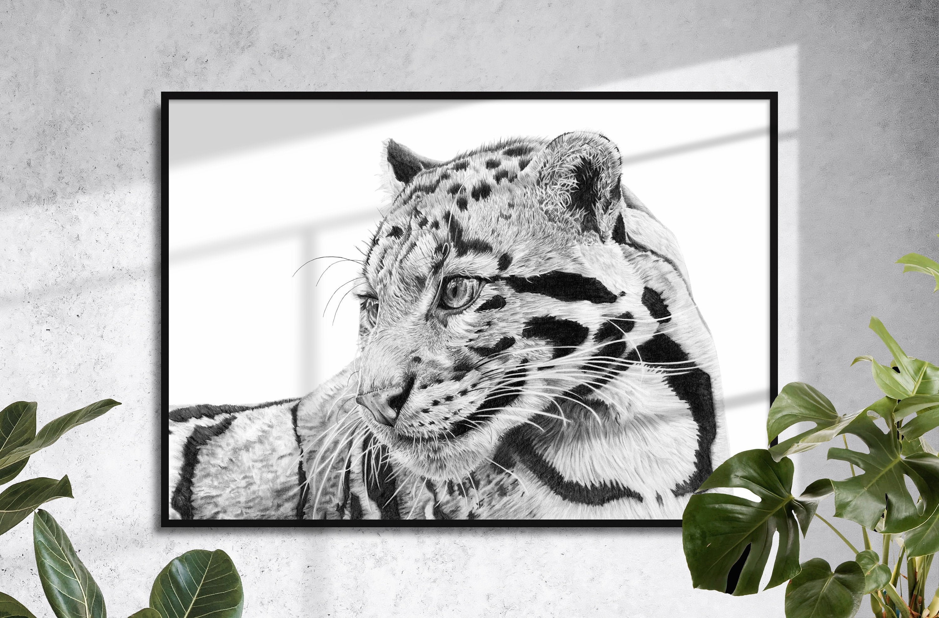 Clouded Leopard Drawing