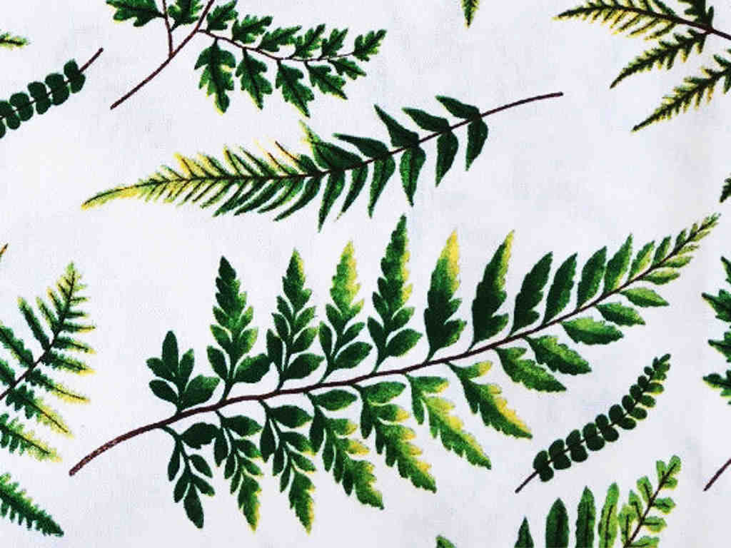 Fern Pattern Fabric Product Made in Italy 100% Pure Cotton | Etsy Singapore