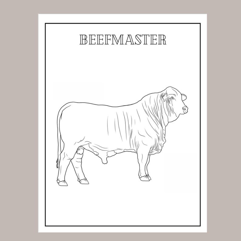 EIGHT Printable* Cattle Breeds Coloring Pages - Etsy
