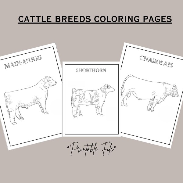 Cattle Breeds - Etsy