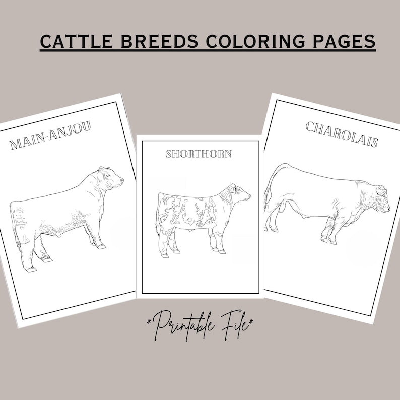 EIGHT Printable* Cattle Breeds Coloring Pages - Etsy