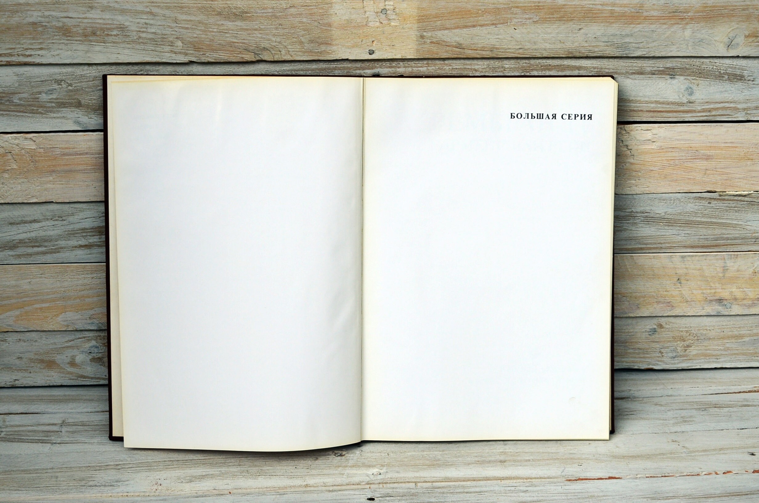 Rembrandt Art Book Vintage Art Reference Book Soviet Book on - Etsy