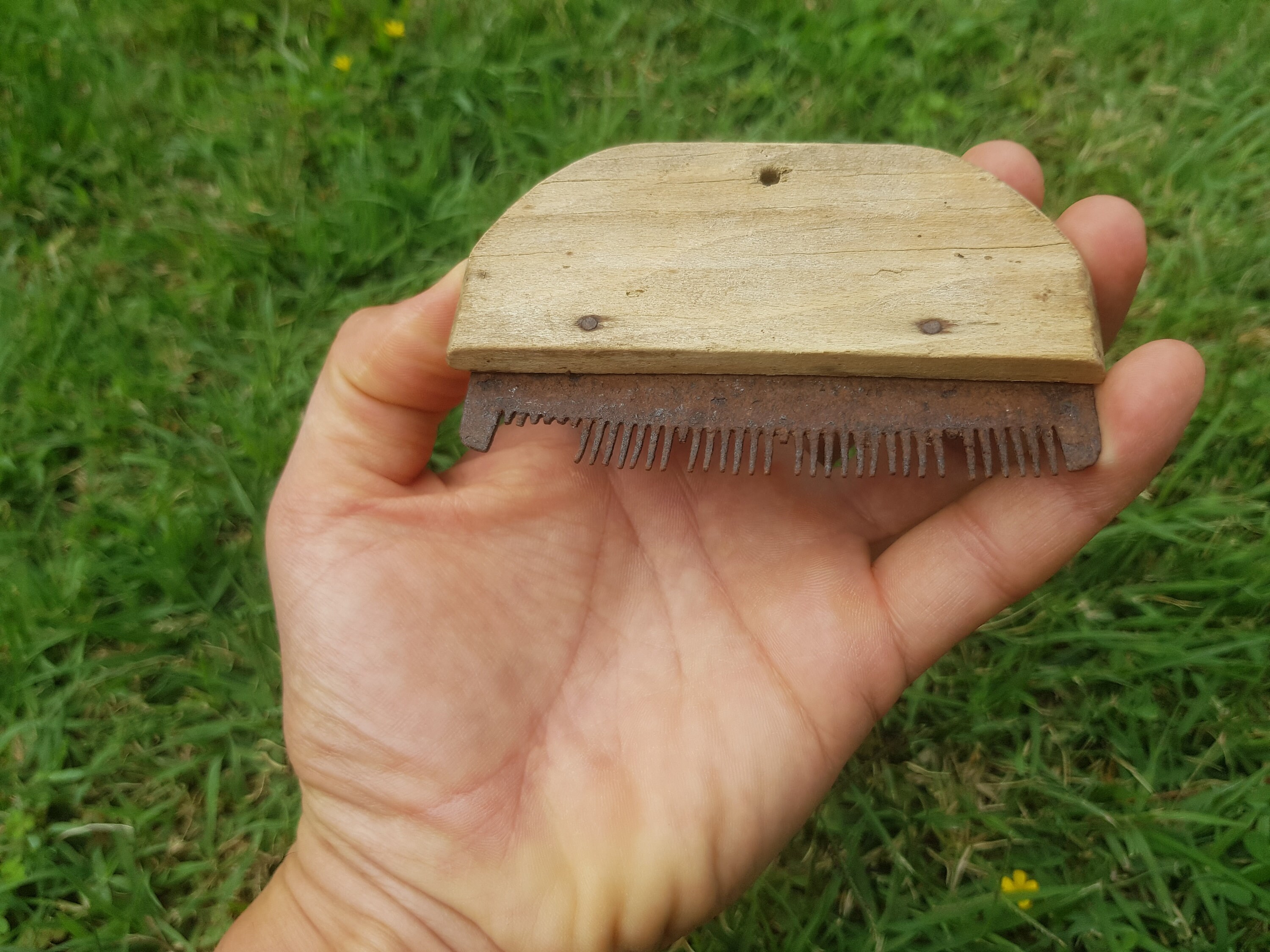 Antique Comb Comb for horse 1910 year Viking comb Cow comb | Etsy
