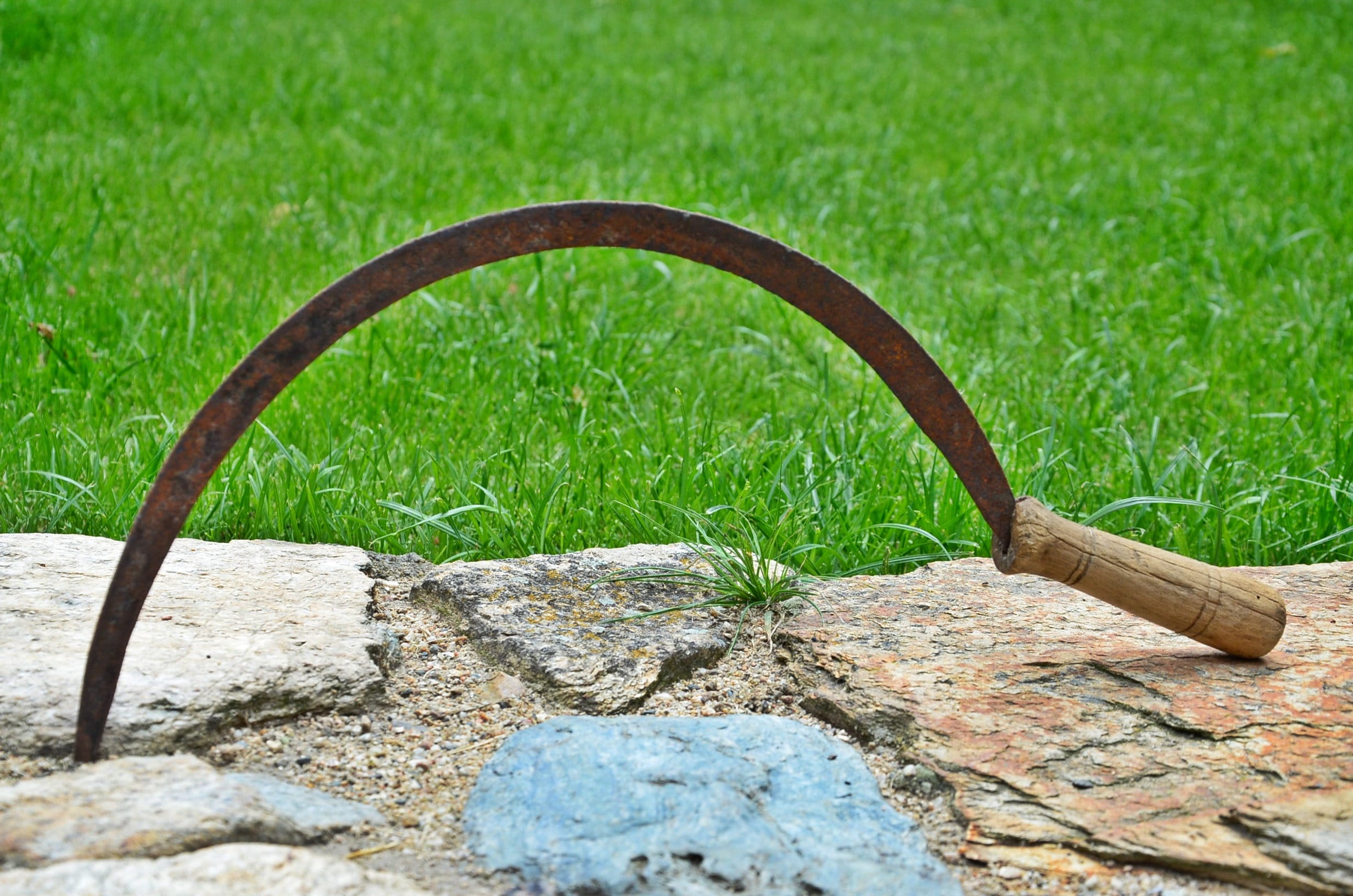 Antique hand sickle Big primitive farm tools Vintage hand | Etsy