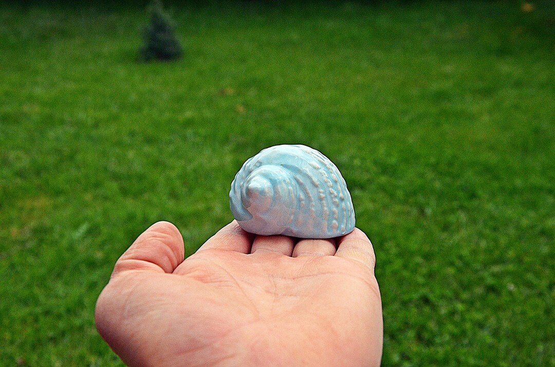 Vintage Ceramic Sea Shell, Cassis Rufa Shell, Seashell, Beach Décor ...