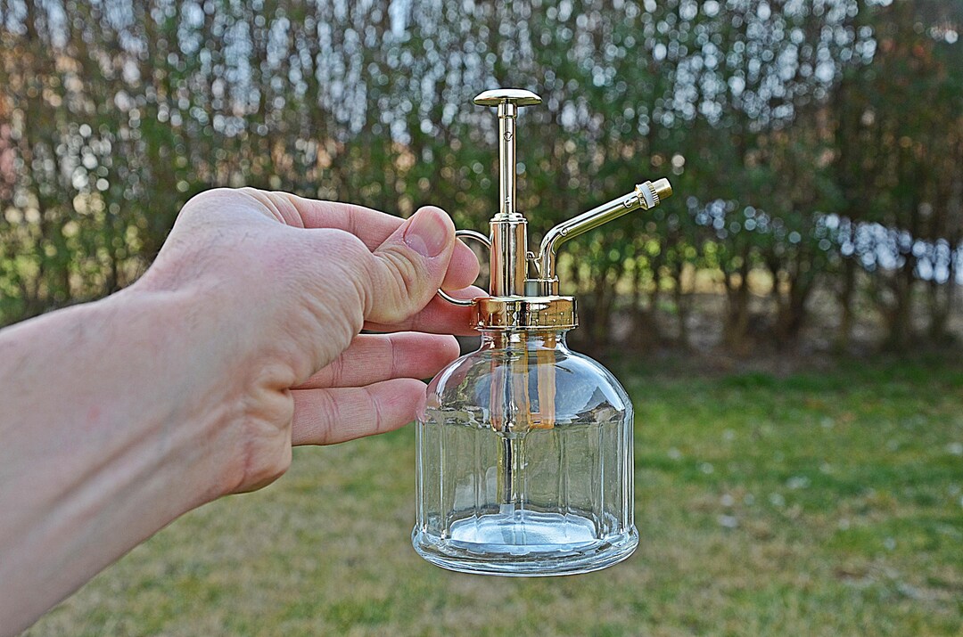 Air Plant Mister, Glass Spray Bottle, Vintage Inspired Glass Mister ...