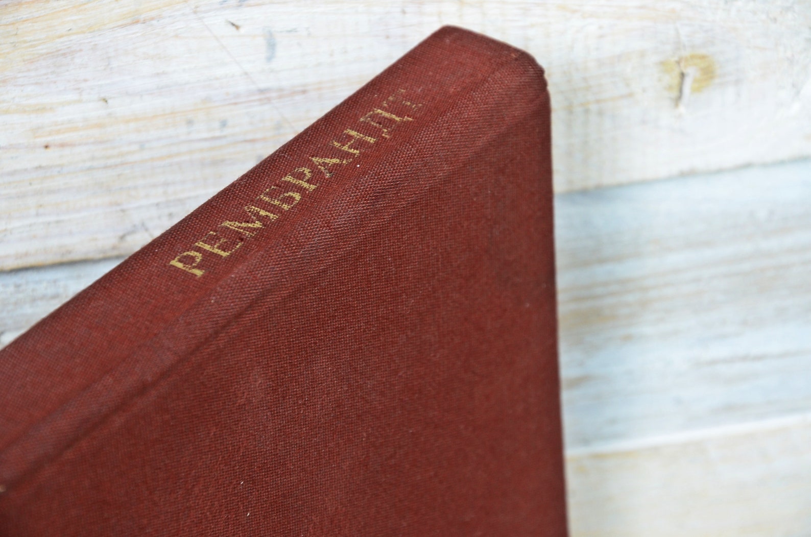 Rembrandt Art Book Vintage Art Reference Book Soviet Book on - Etsy