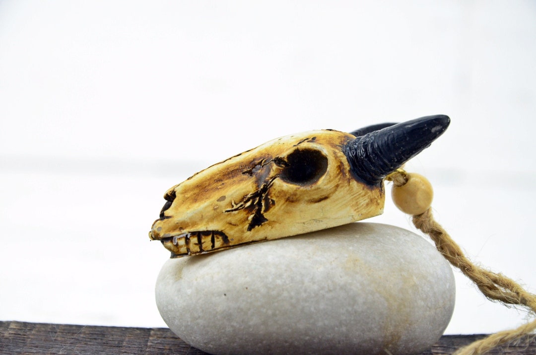 Vintage Ceramic Bull Skull: Small Animal Sculpture - Etsy