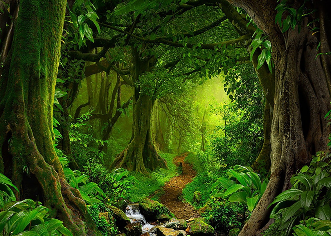 Nature Backdrop for Photography Forest Flower Background for - Etsy