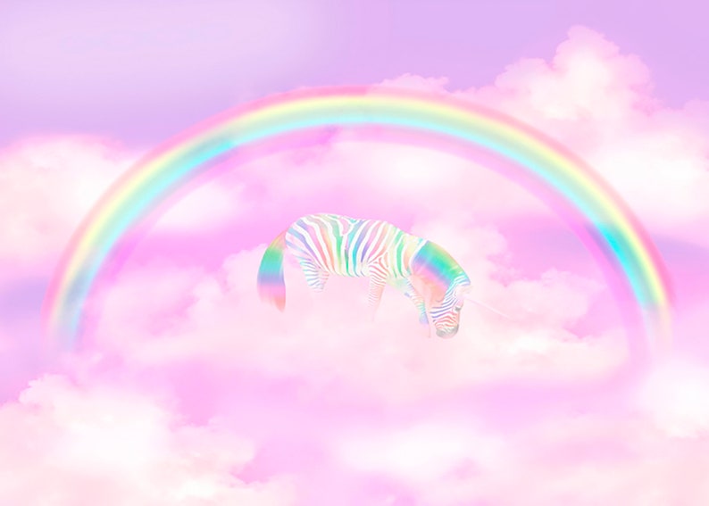 Colorful Rainbow Backdrop for Photography Photo Background for - Etsy