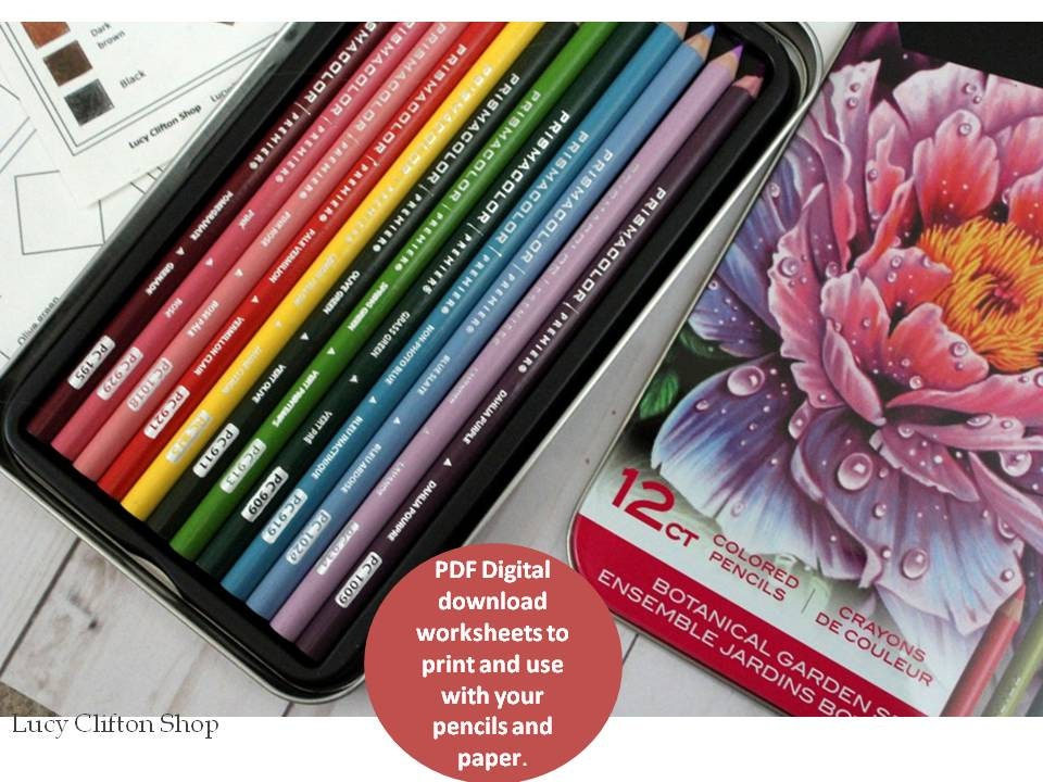 PRISMACOLOR 12 Set and Botanical 12 Set Colored Pencils Workbook, Color ...