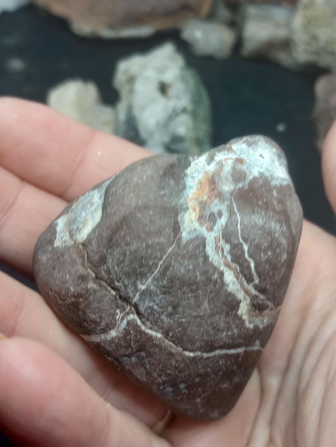 Lightning Stone From Scotland, Scottish Septarian, Calcite in Ironstone ...