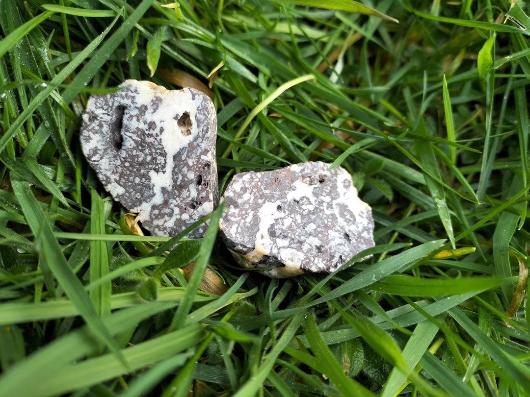 Part Polished, Halved Amygdaloidal Basalt galaxy Stone With Calcite ...