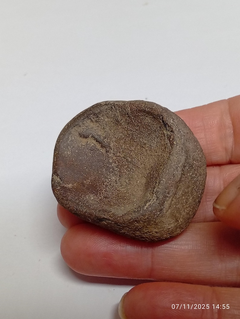 Iron Rich Sedimentary Rock: Iron Concretion Layer, Unique Scottish Rock - Etsy