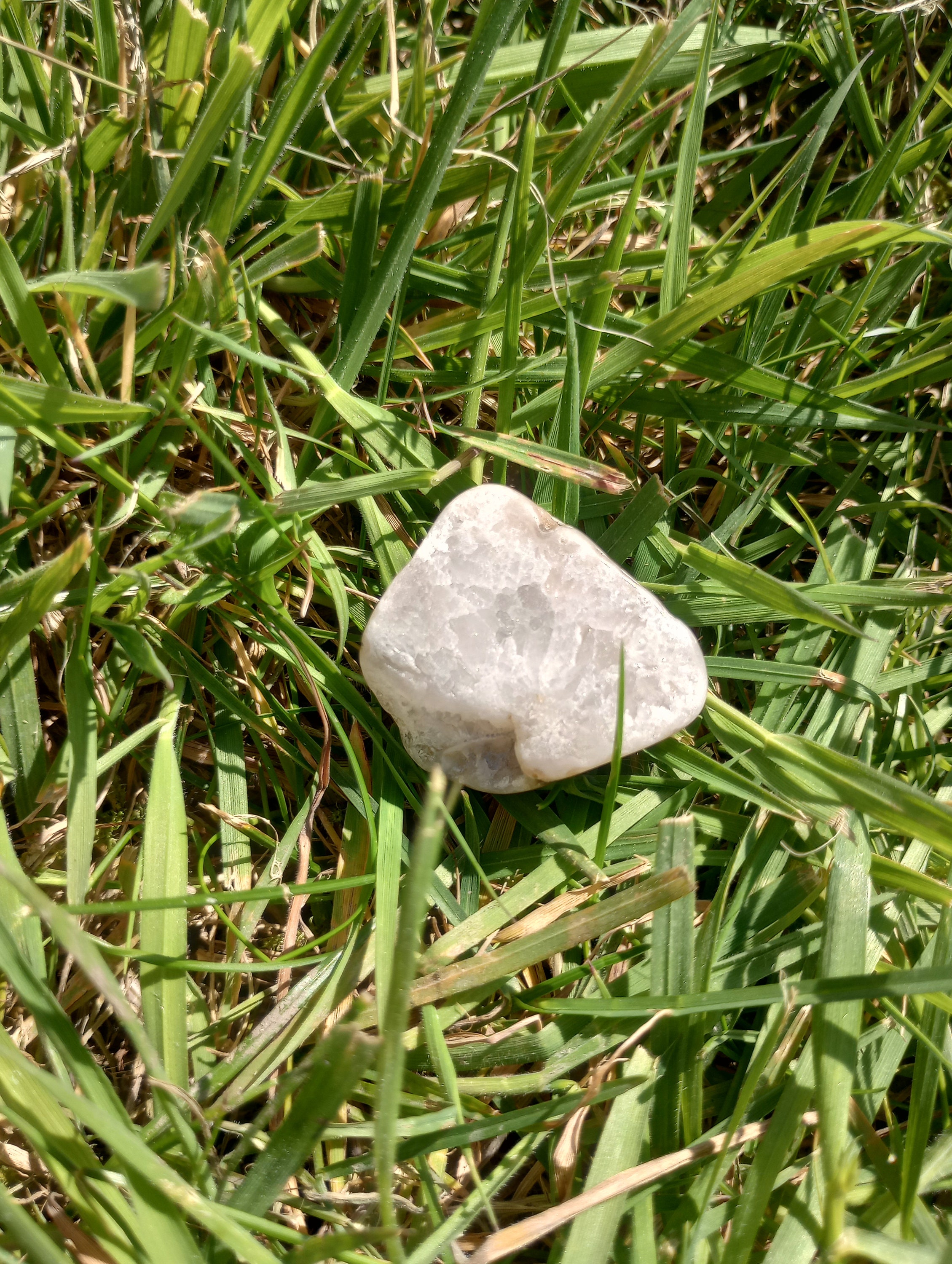 Scottish Quartz Nodule Half - Etsy