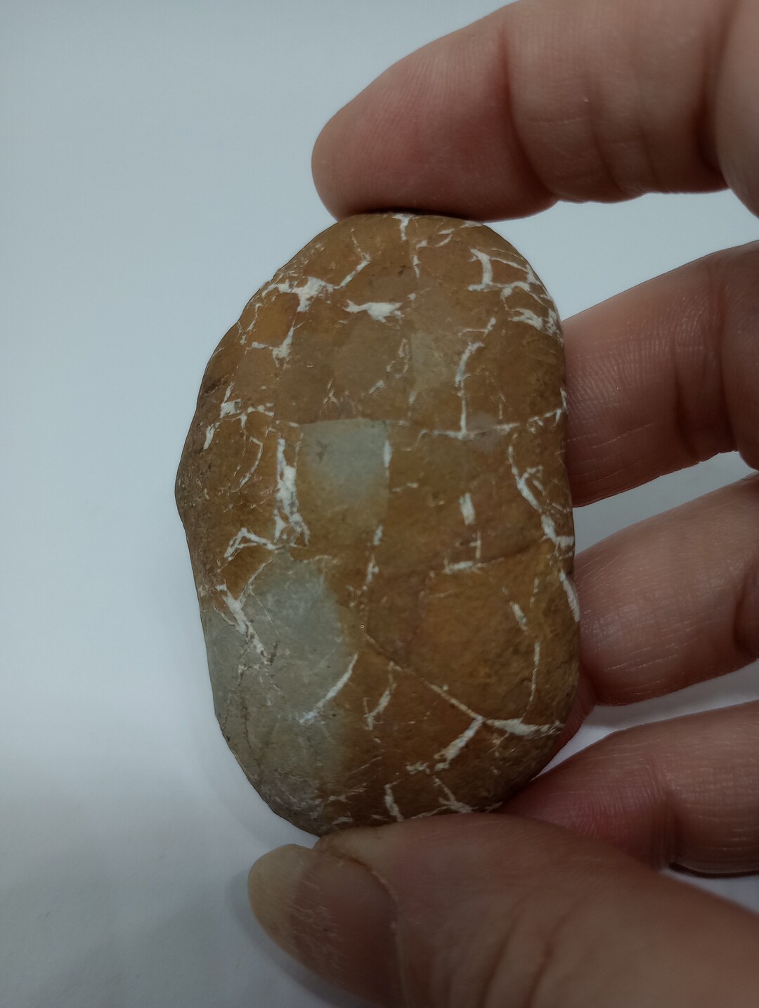 Scottish Septarian Nodule (ironstone and Calcite) - Etsy