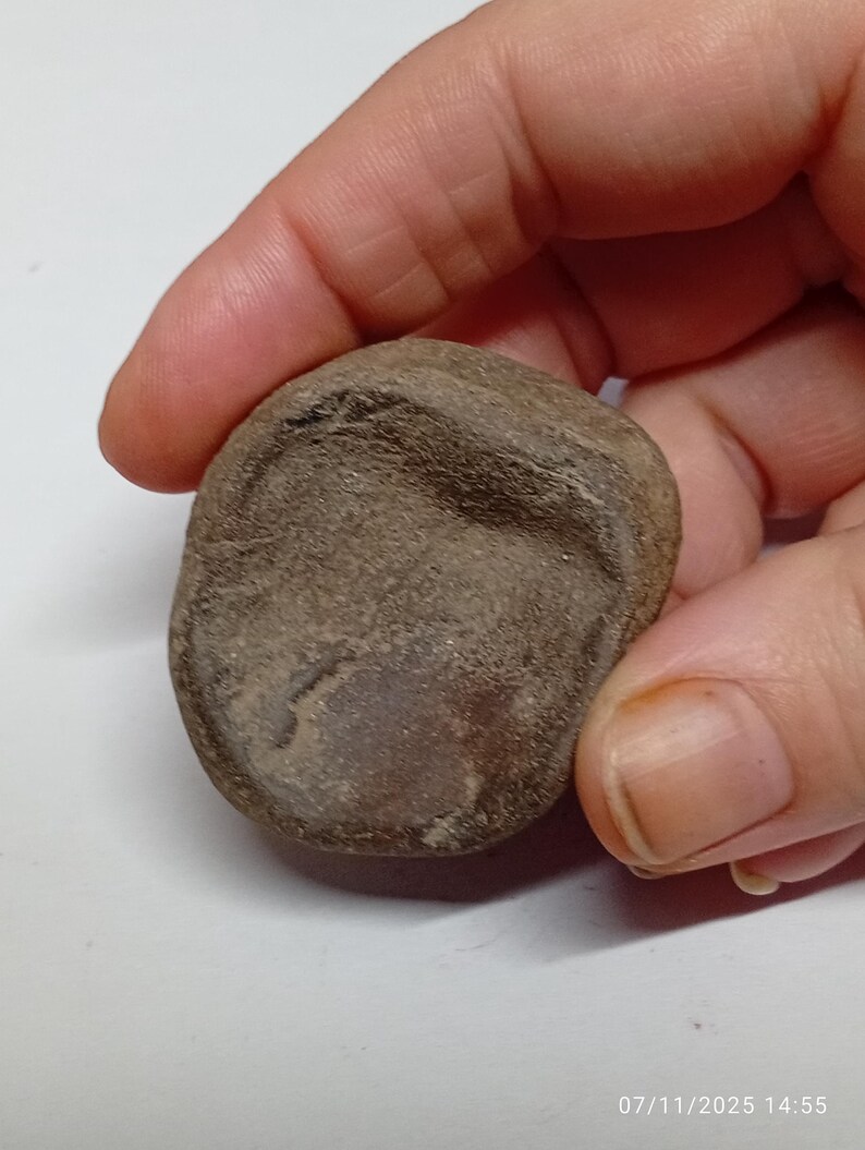 Iron Rich Sedimentary Rock: Iron Concretion Layer, Unique Scottish Rock - Etsy