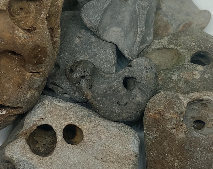 Trio of Genuine Scottish Hagstones 3pcs, Adder Stones, Holey Stones ...