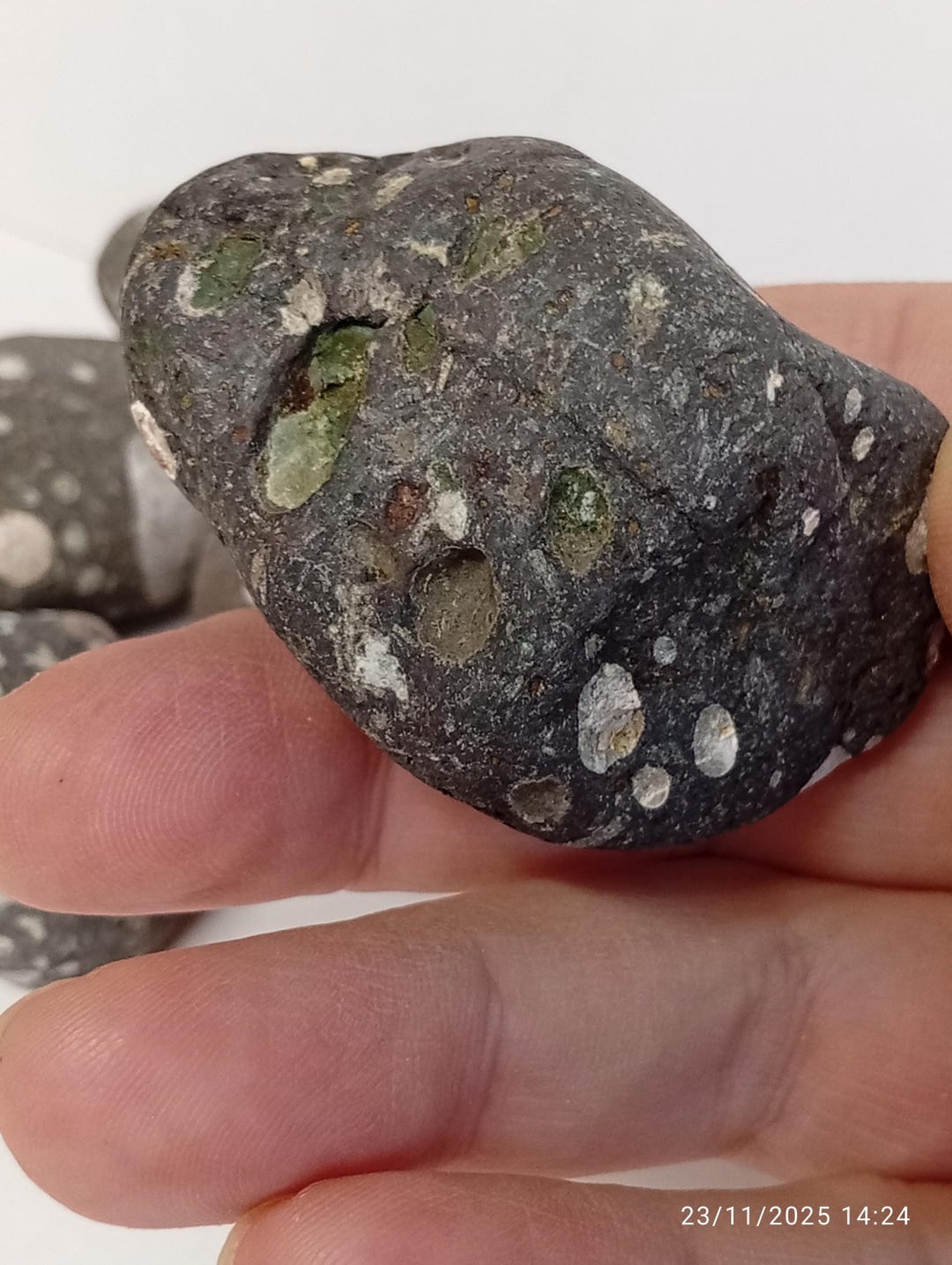 5 Pieces Scottish Galaxy Stones - Amygdaloidal Vesicular Basalt - Etsy