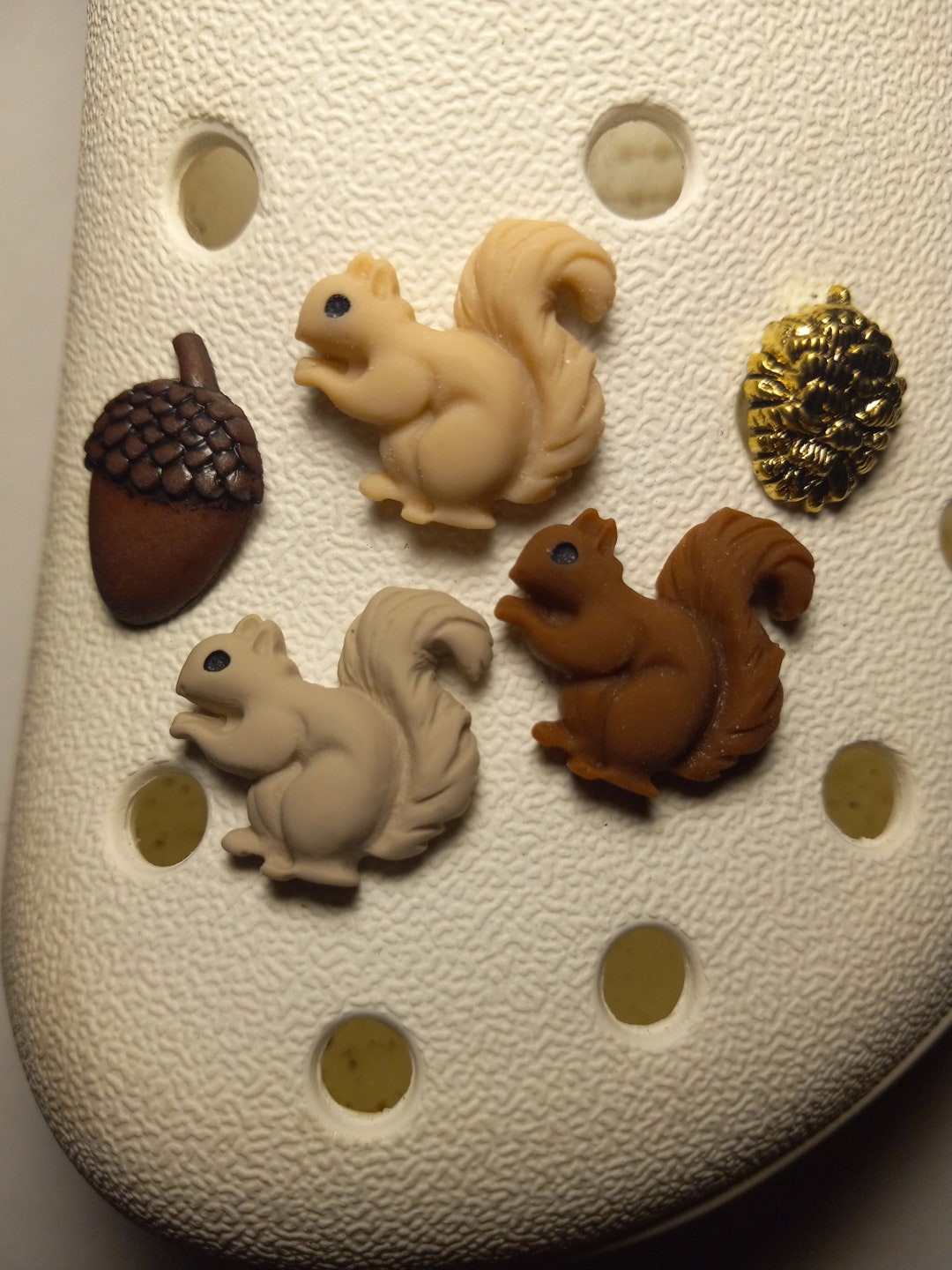 Handmade Squirrel Shoe Charm for Rubber Clogs Squirrel, Squirrels ...